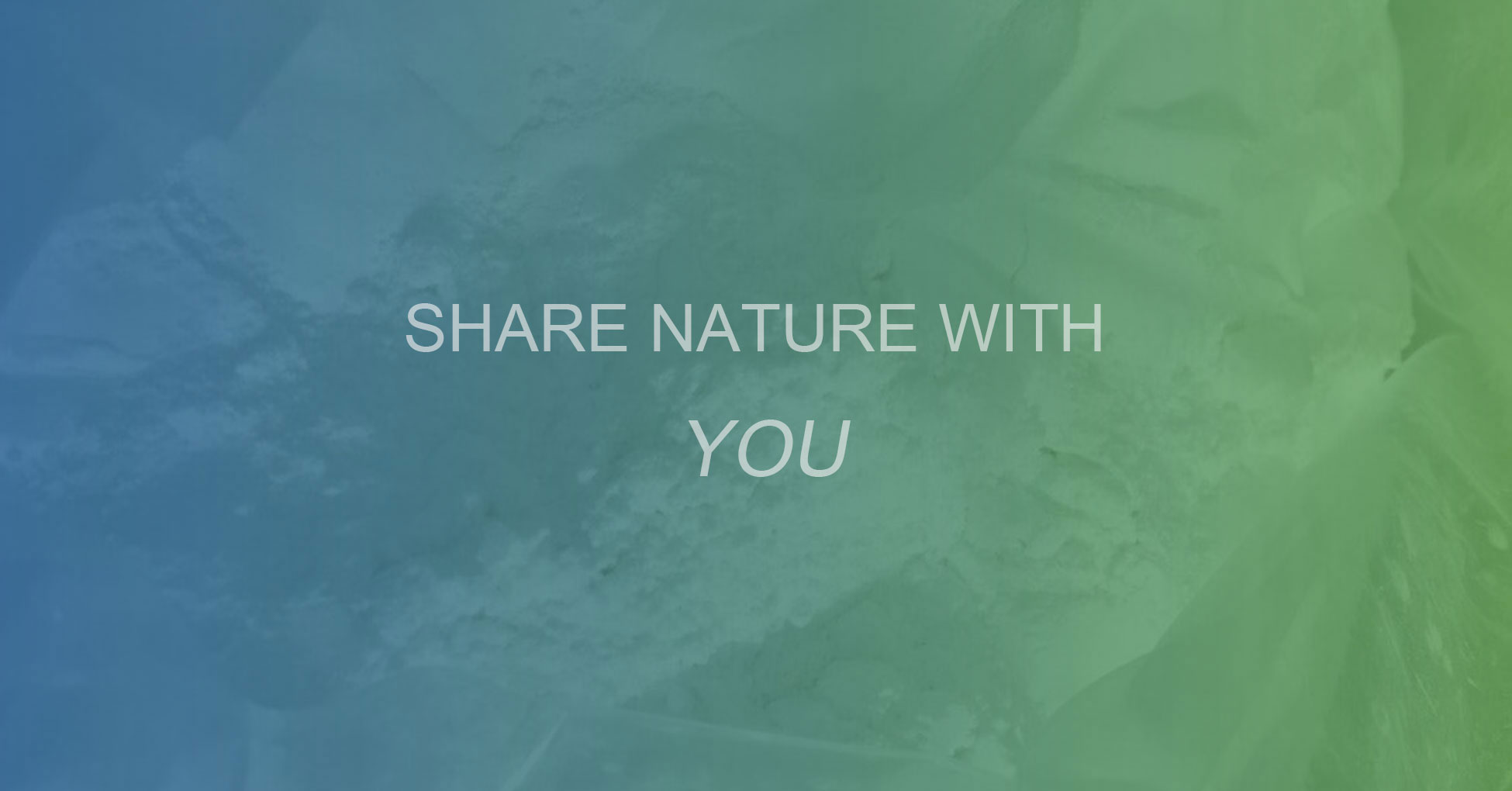 NATUREMARK BIOLOGY – Grape seed extract|Ginseng extract|Curcumin ...